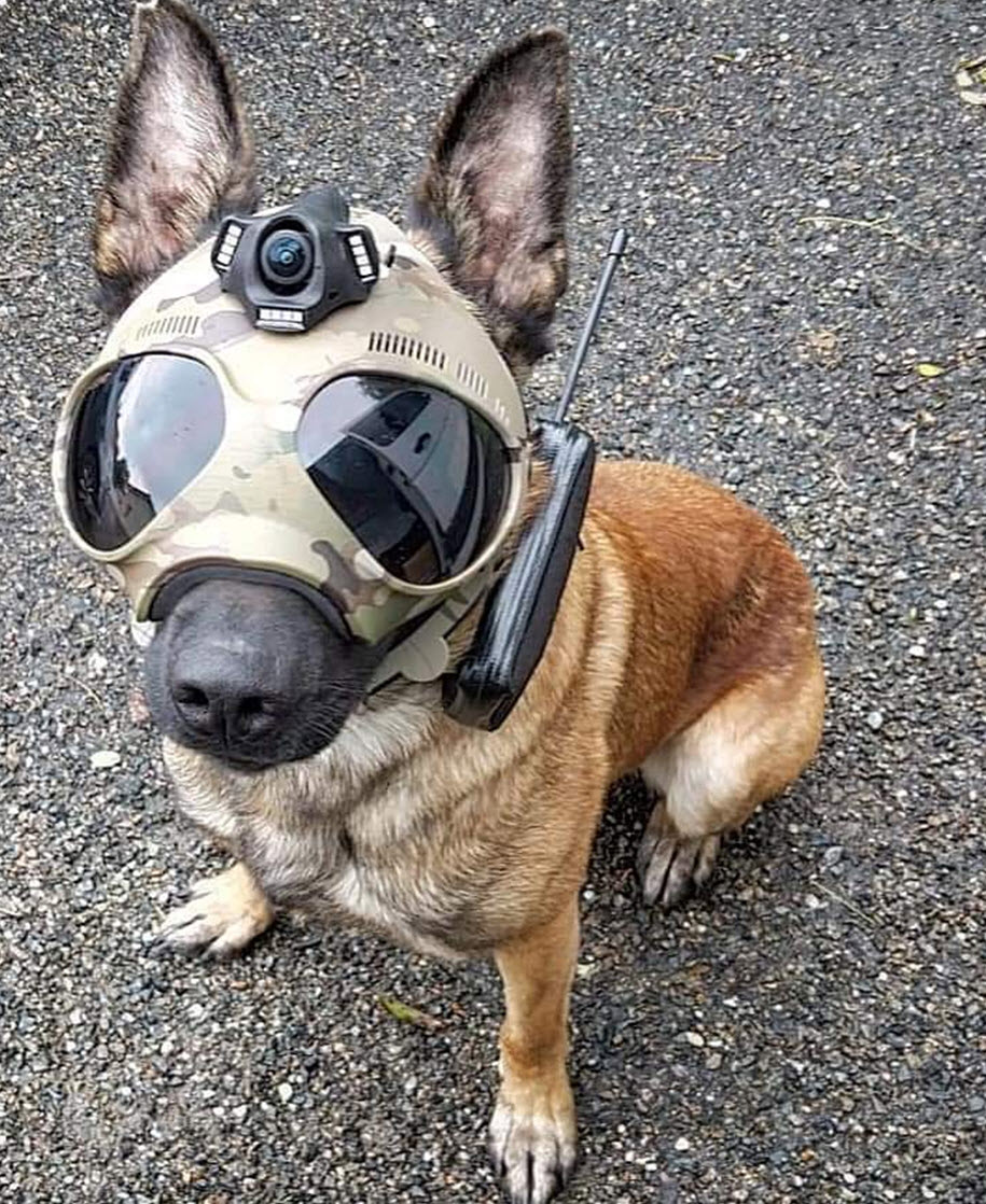 K9 Vision System HELM ONE